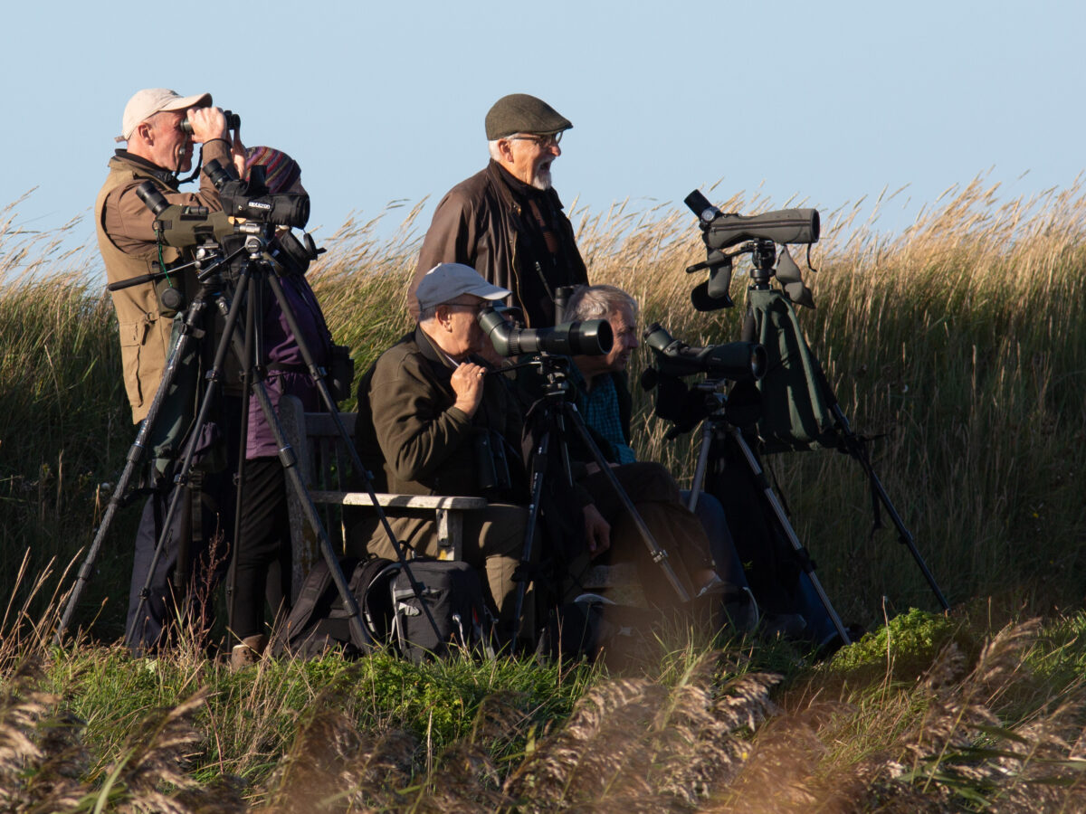 October 14th-18th 2022 Norfolk Birding Autumn Birding Tour - Wordpress 1BX